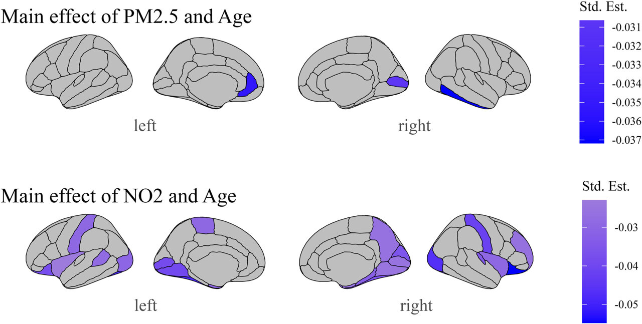Exposure to common air pollutants alters adolescent brain development ...