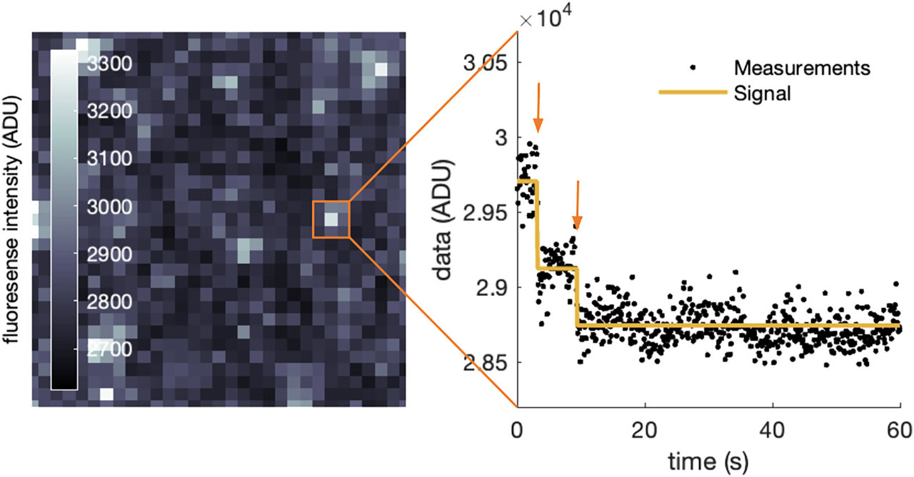 Statistical method developed for single-molecule fluorescence analysis