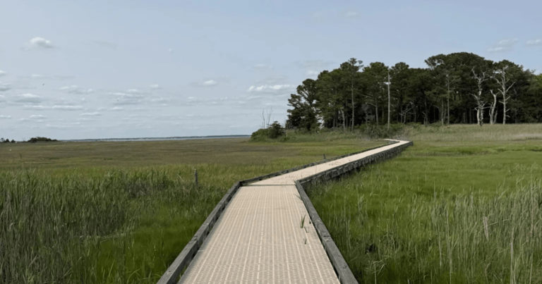 See 4 of Delaware's best views (no expert-level hiking required)