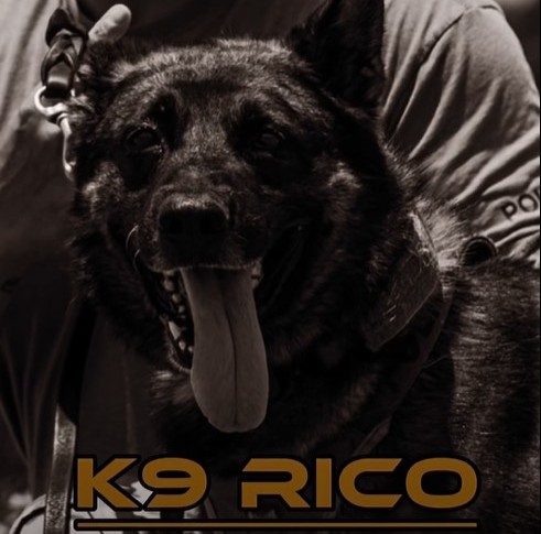 College Station K-9 officer Rico is officially 10-42