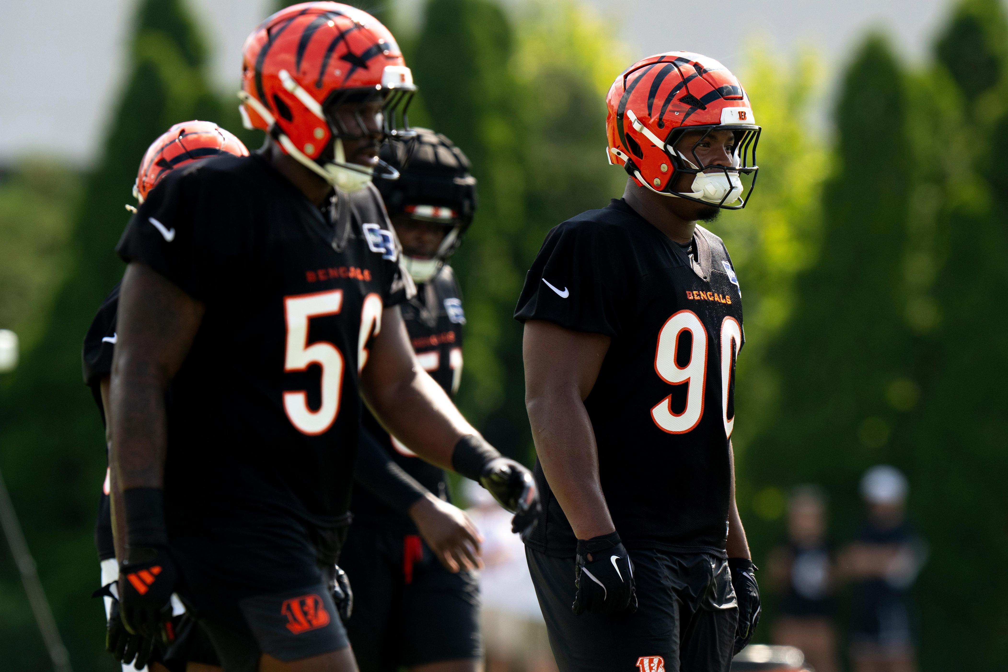 Bengals injury forces team to shut down promising piece of future