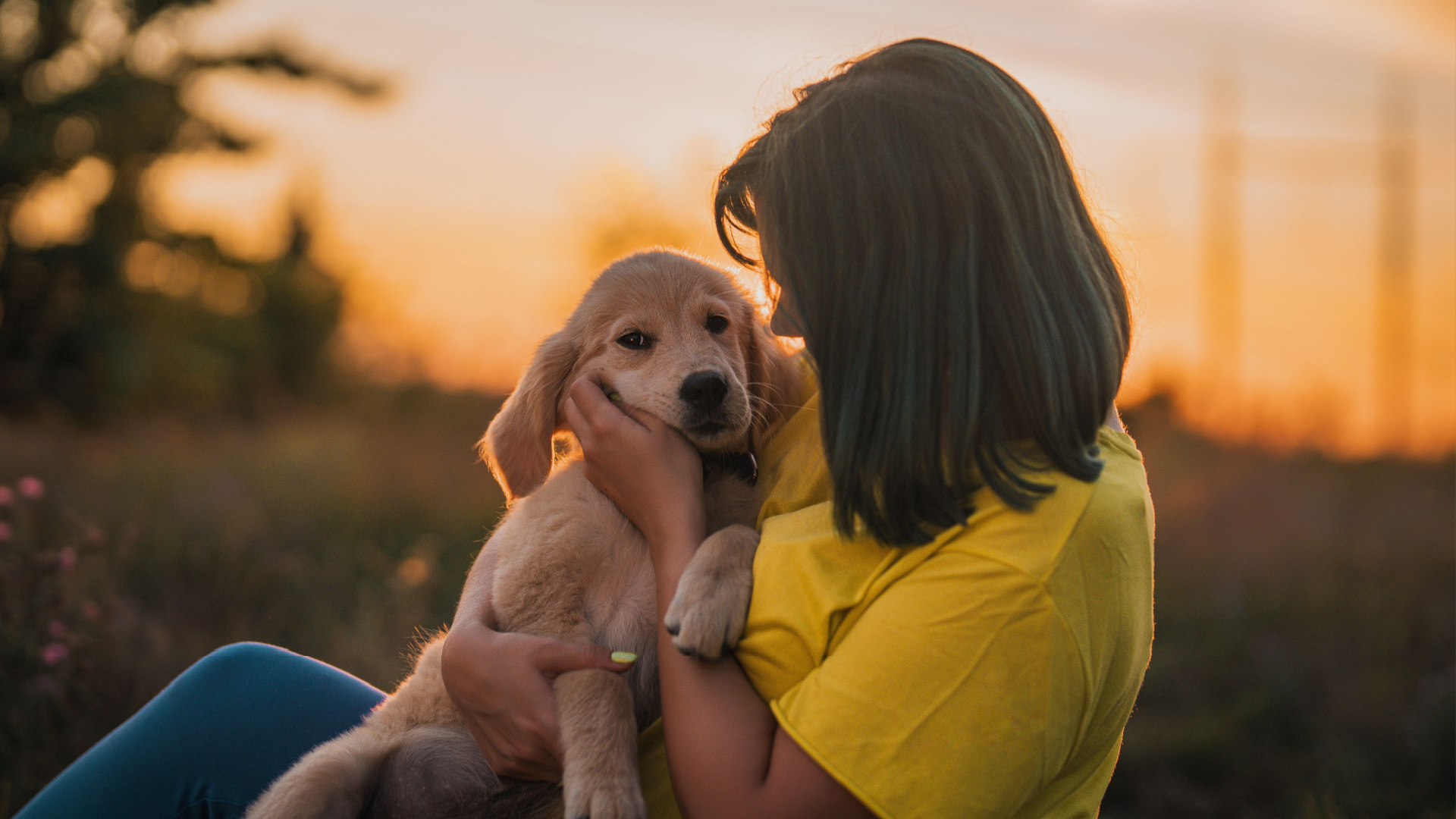 9 early-life moments puppies can remember for the rest of their lives
