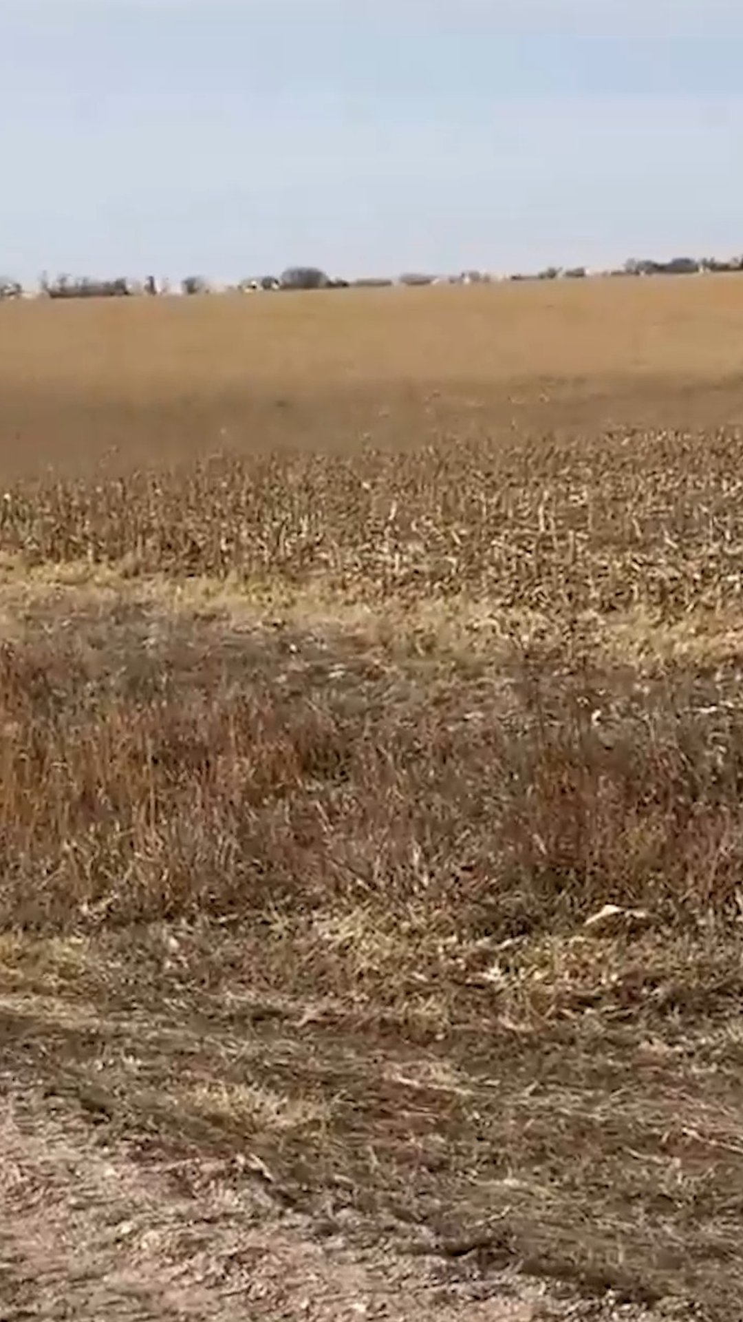 Constructing a farm field entrance