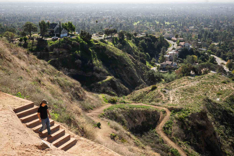 Nature is rebounding a year after January’s fires, as plants, wildlife ...