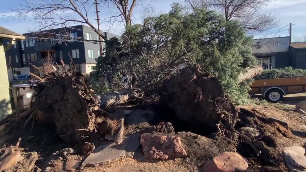Dangerous winds damage buildings, down trees in Colorado
