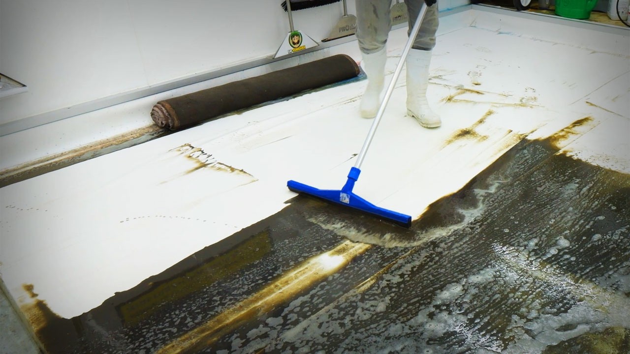 I almost cried watching this rug transformation