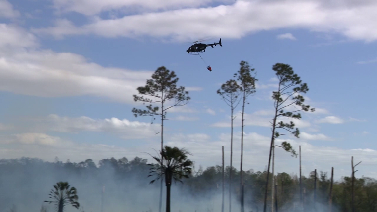 Florida agriculture commissioner urges caution as a risky fire season looms