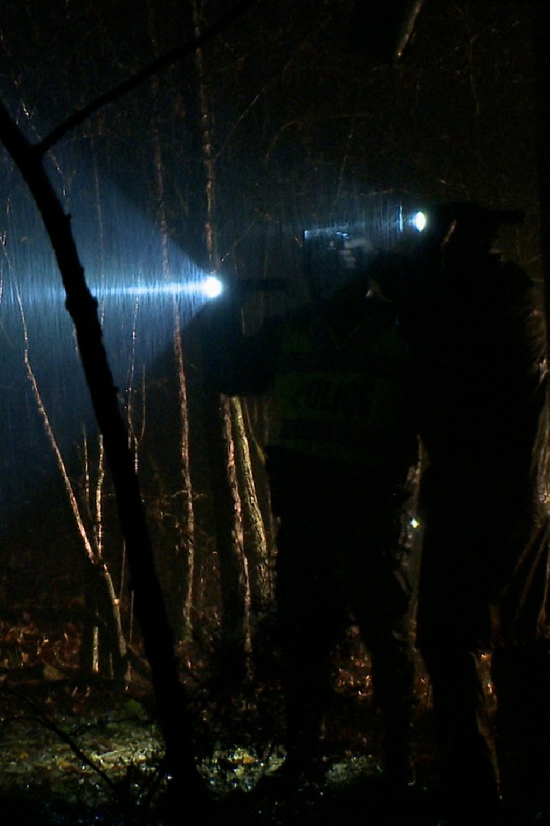 Al filo de la butaca: los cineastas que perfeccionaron el thriller intenso