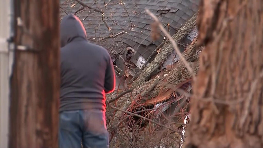 Man and infant safe after high winds topple large tree onto house in ...
