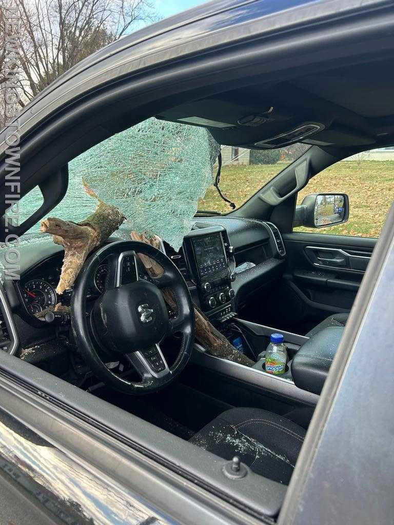 Tree limb smashes through windshield, injures driver