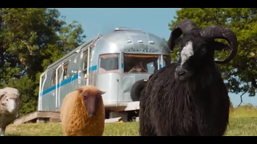 The Sheep Detectives trailer