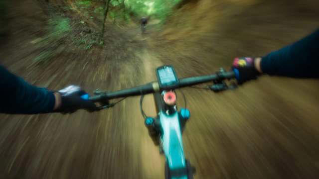Mountain biker captures heart-pounding video of encounter with wild ...