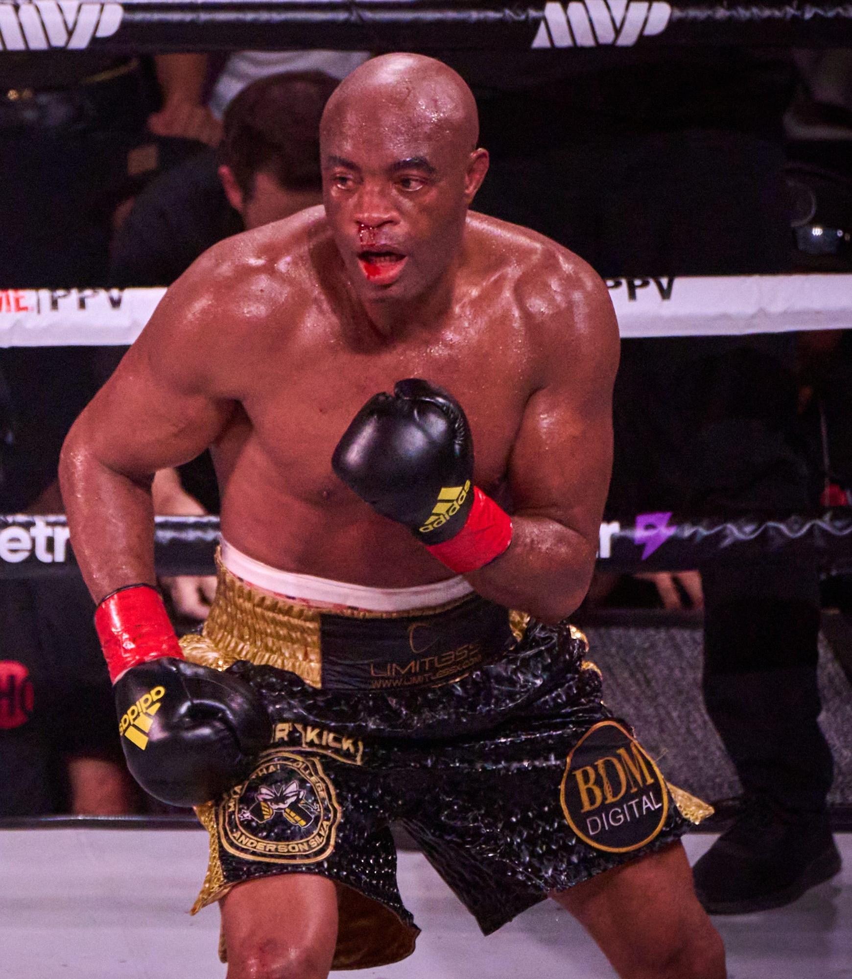 Paul vs. Joshua highlights: 50-year-old Anderson Silva knocks out Tyron ...
