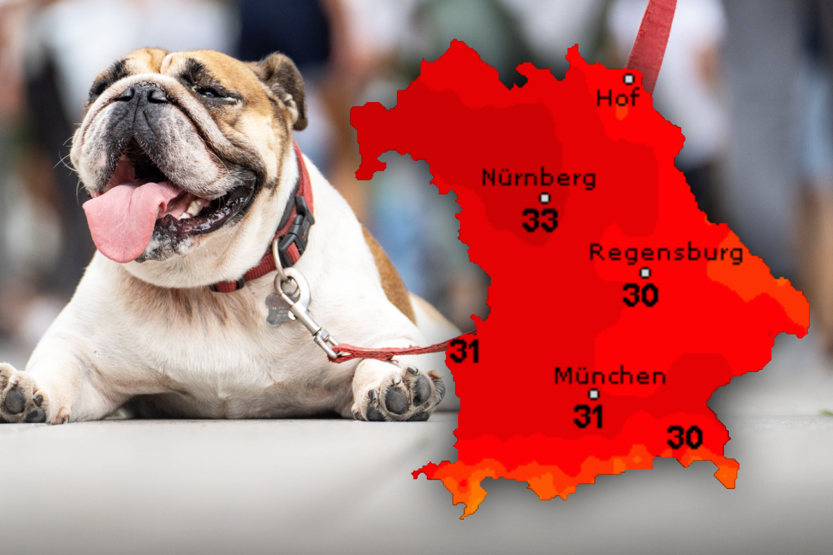 Bis zu 36 Grad! Sonne lässt es am Wochenende so richtig krachen