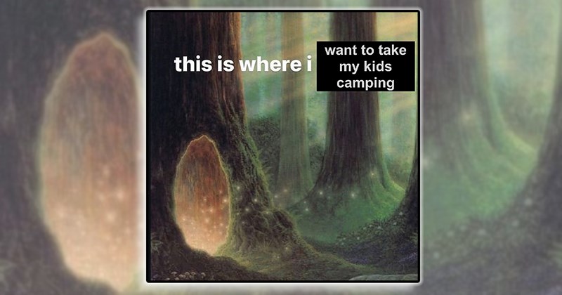 21 camping memes for moms who are mama bears