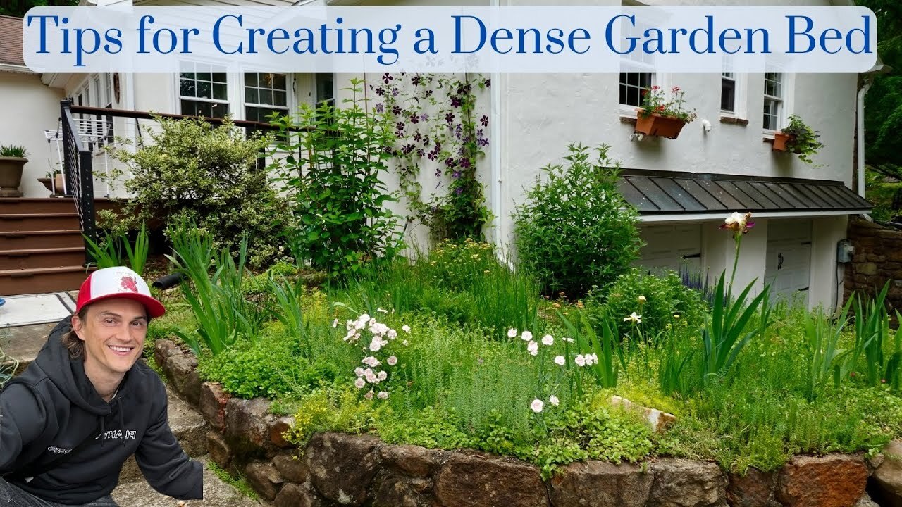 Tips for a dense low maintenance garden bed - no mulch & less weeds ...