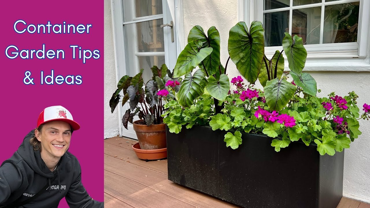 Container garden tips, ideas & suggestions - low maintenance potted ...