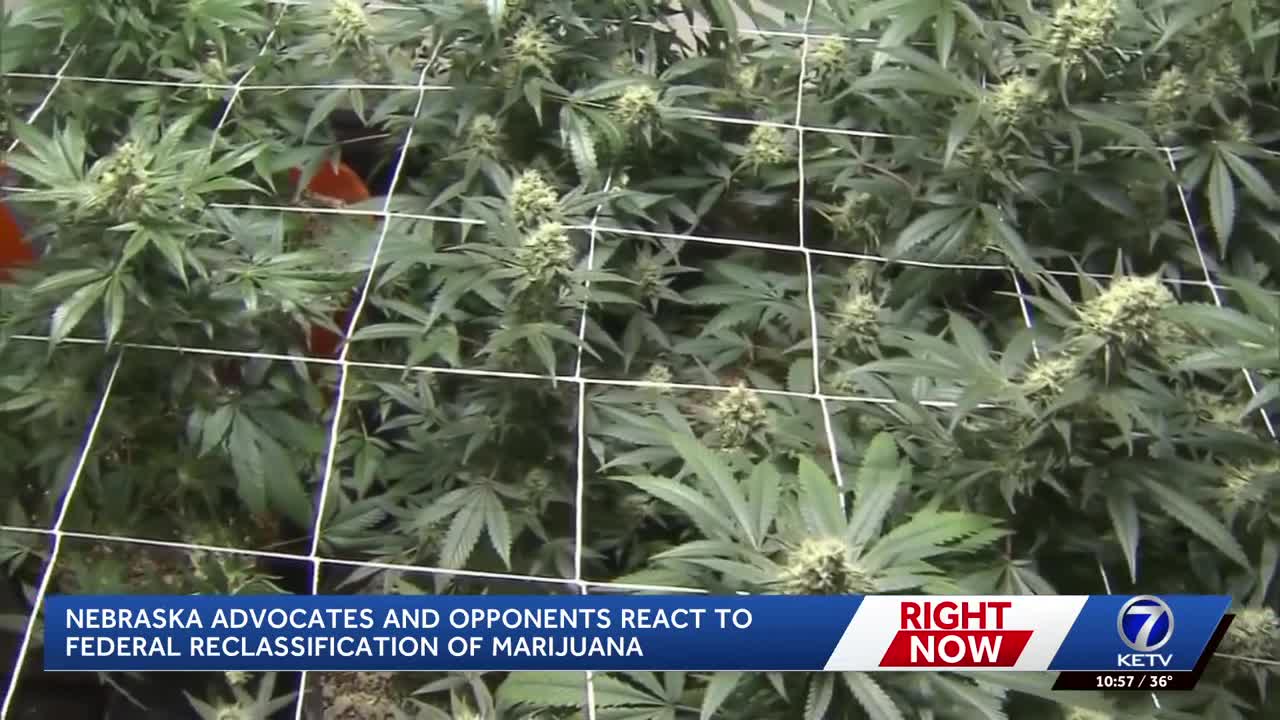 Nebraska advocates and opponents react to federal marijuana ...