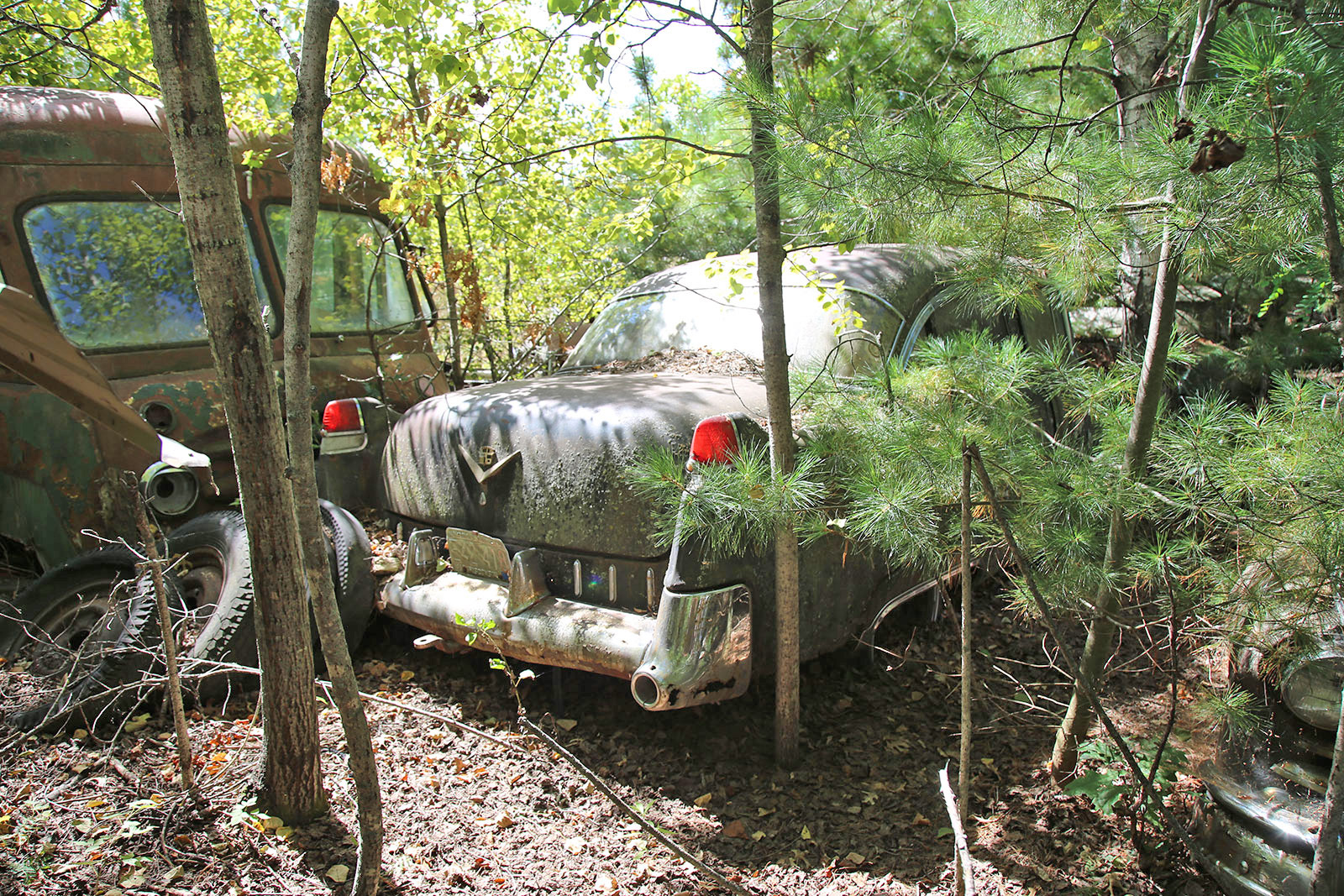 Junkyard discoveries from Cooley’s Statewide Scrap & Salvage in Eau ...