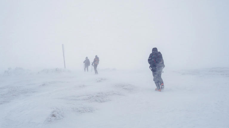 Blizzard vs snowstorm: What's the difference and how to stay safe