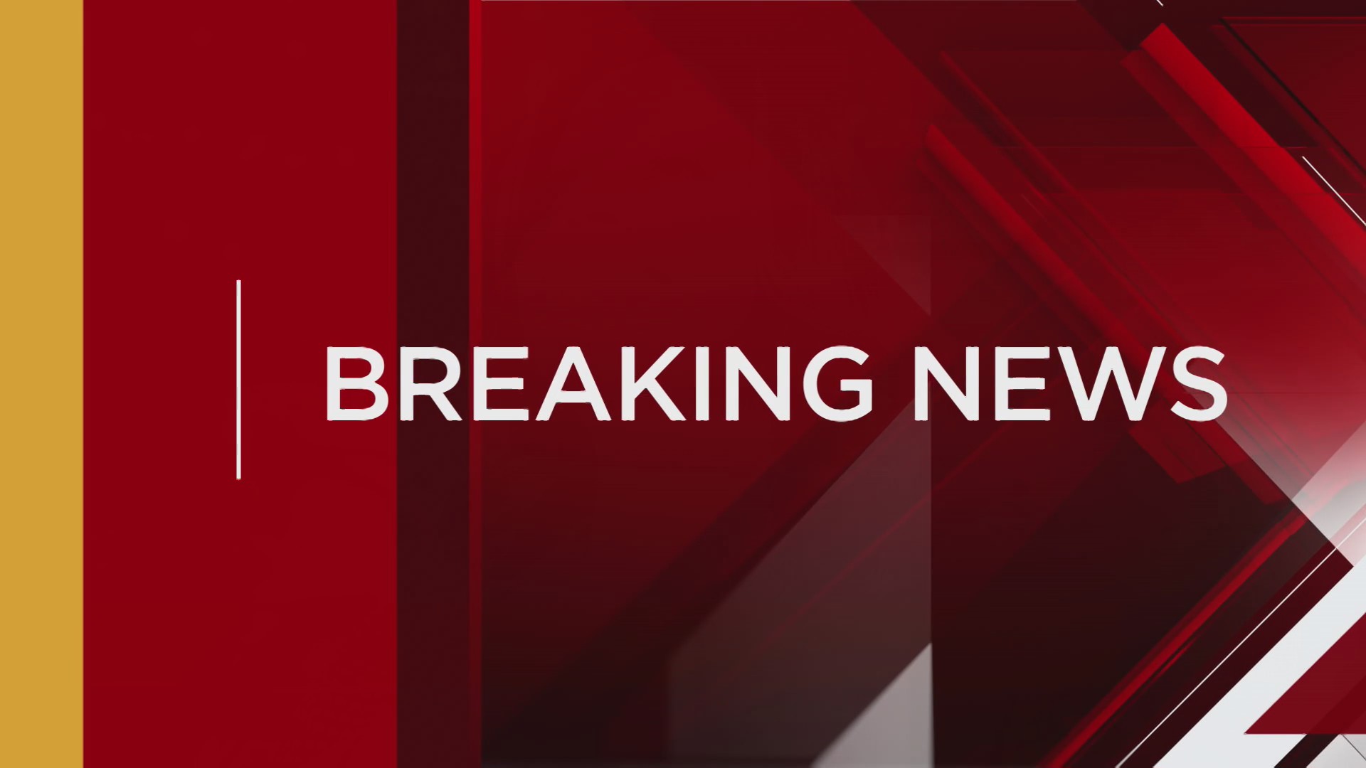 Elise Stefanik drops her bid for New York governor