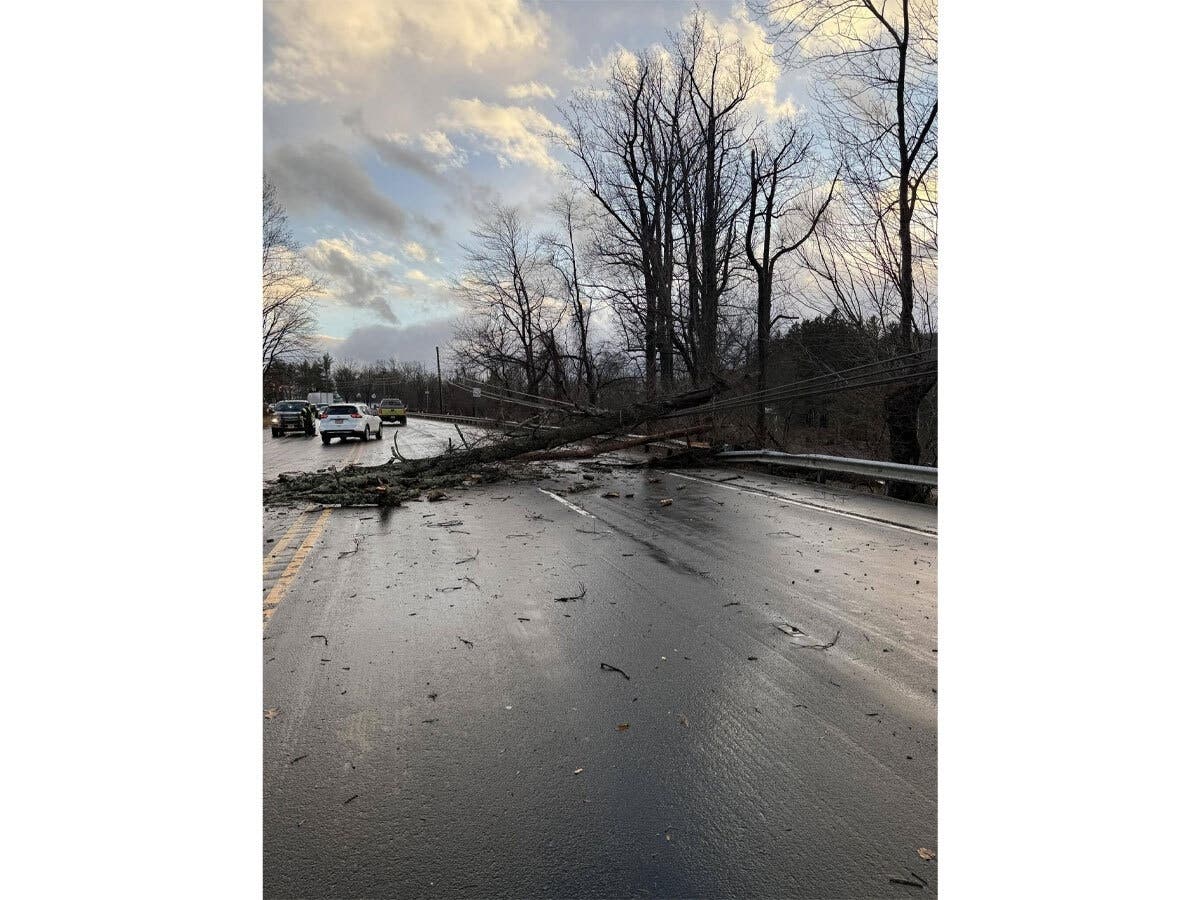 Fallen trees lead to road closures in Chester: See where
