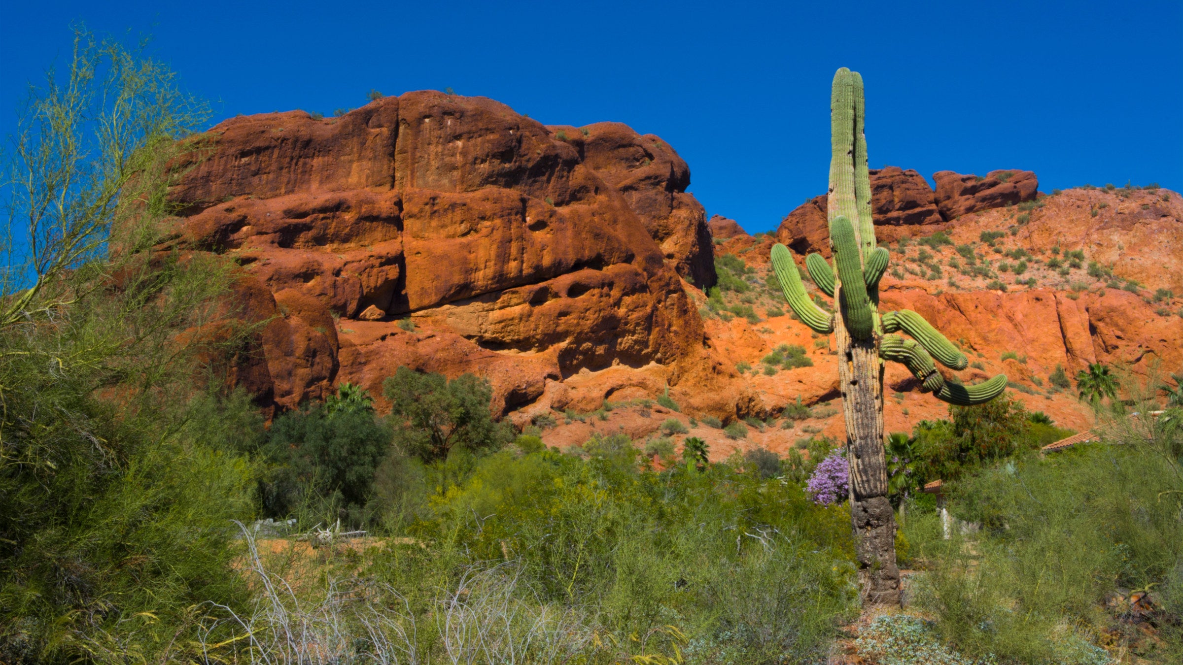Delivery drone comes to Arizona hiker’s rescue in first-of-its-kind mission