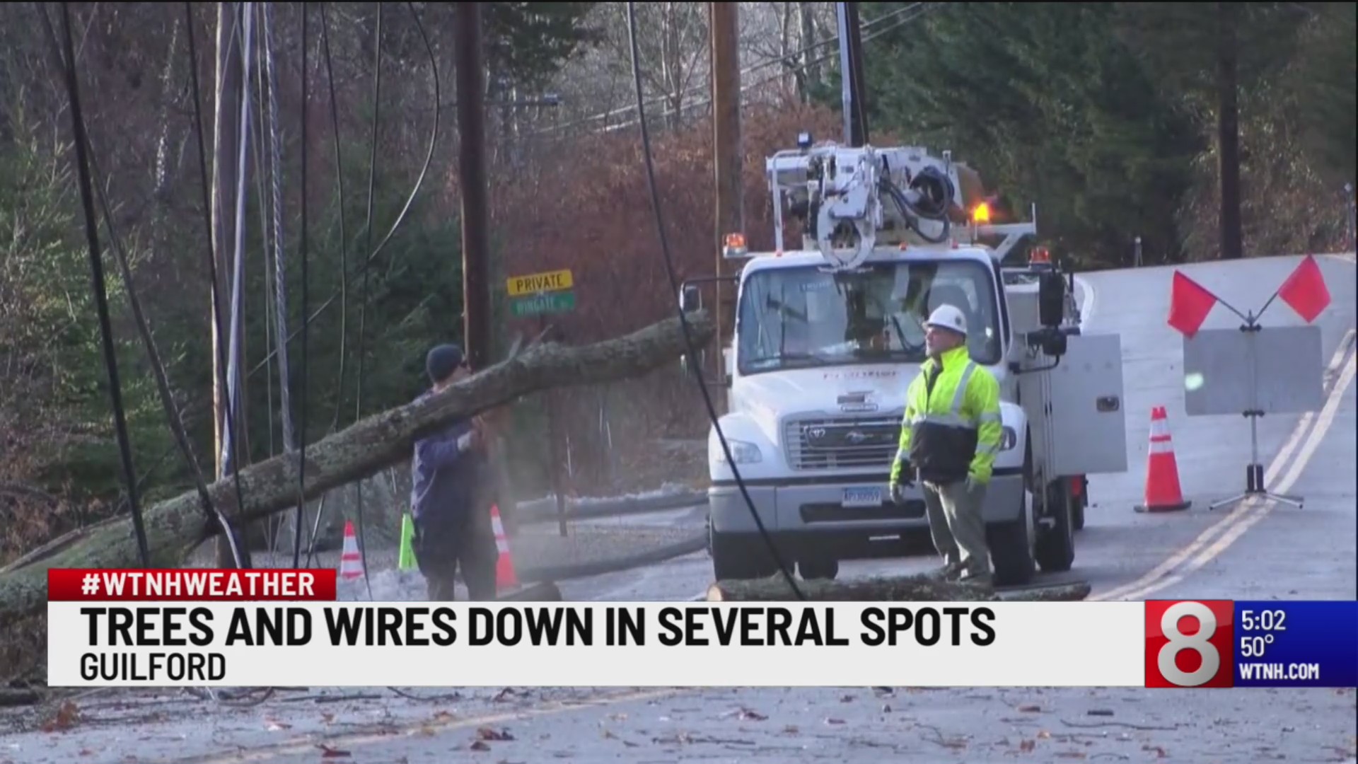 Trees, wires down in several spots in Connecticut