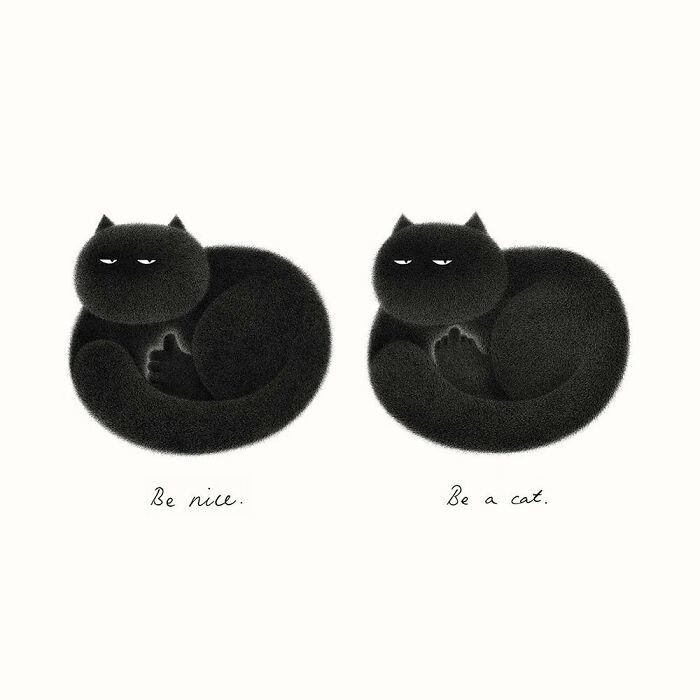 69 illustrations by Kamwei Fong featuring fluffy and grumpy cats