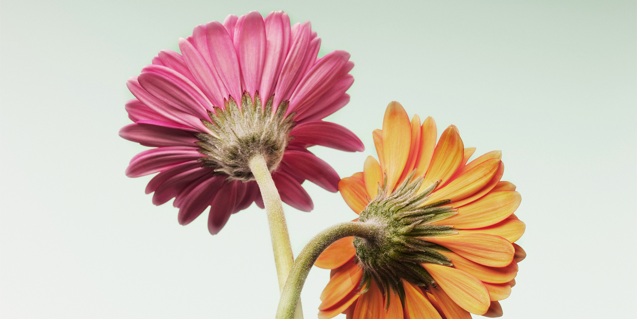 There are no words — but here’s what we owe the grieving anyway