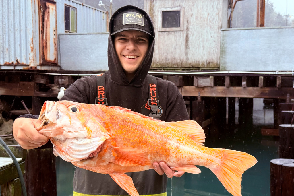 A California fisherman may have broken records by catching a 10.25 ...
