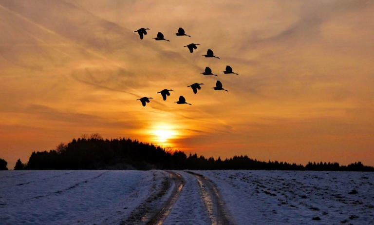 What is the winter solstice? Everything you need to know about the ...