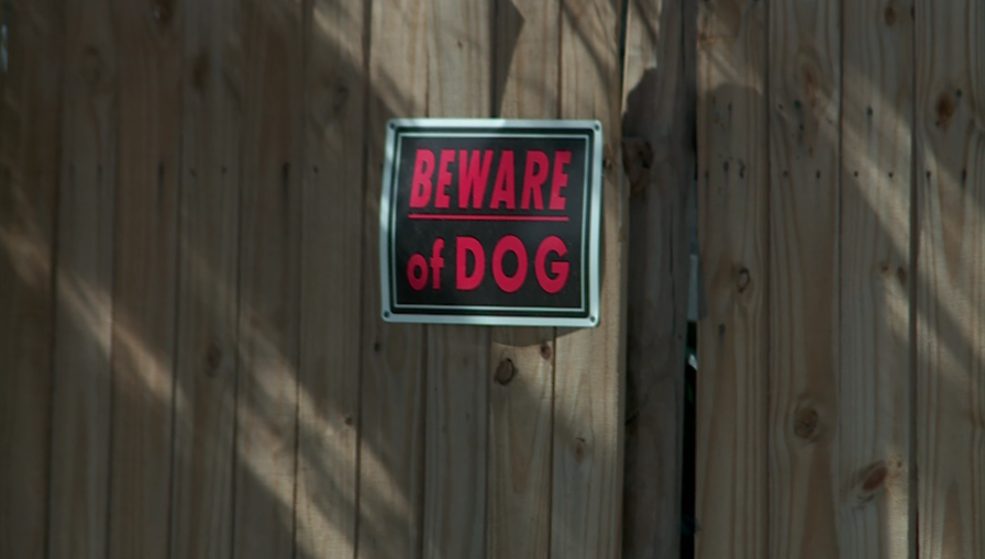 El Paso City Council to discuss on new ‘vicious,’ ‘aggressive’ dog ...