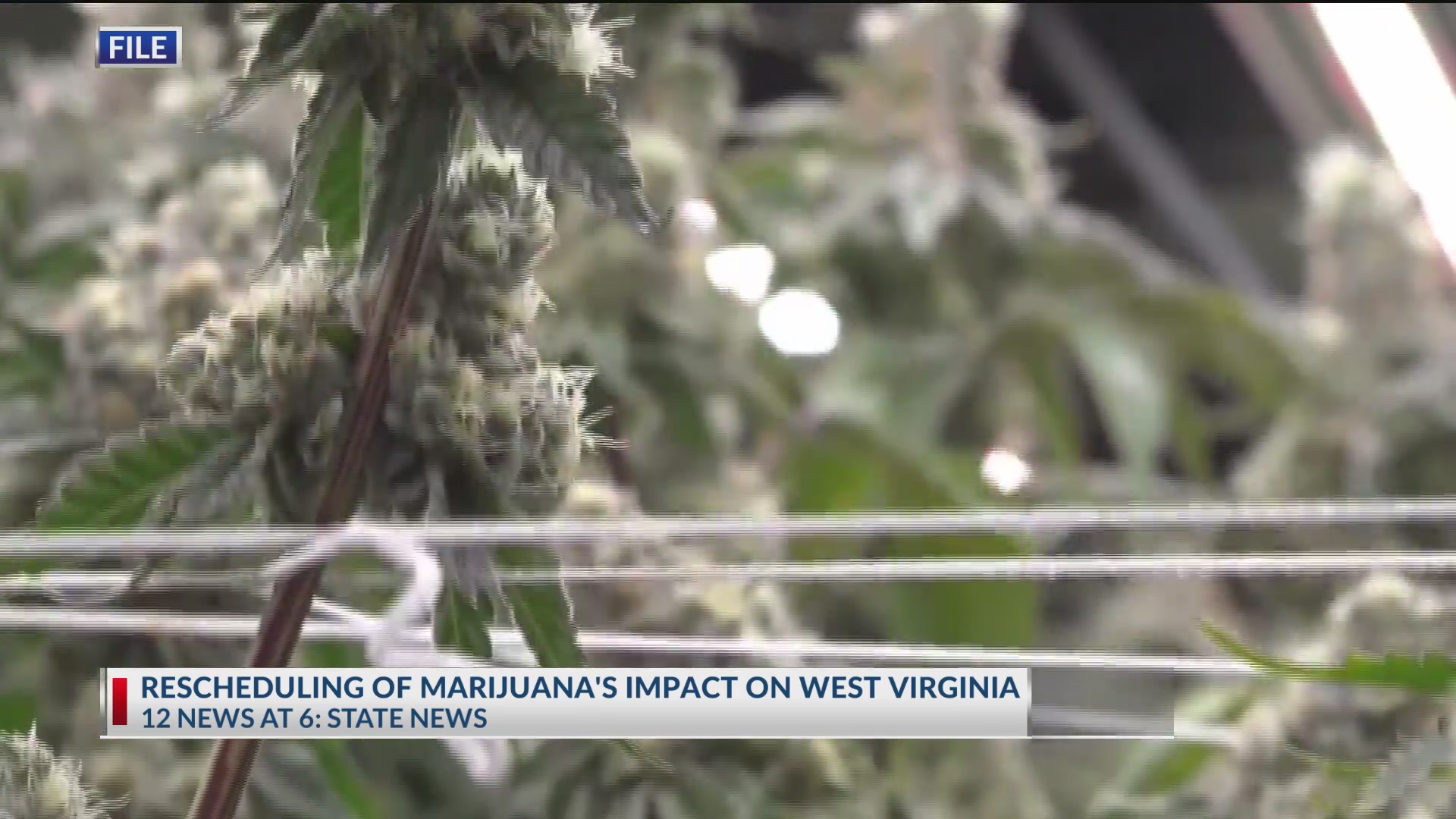 What does reclassifying marijuana as Schedule III mean for West Virginia?