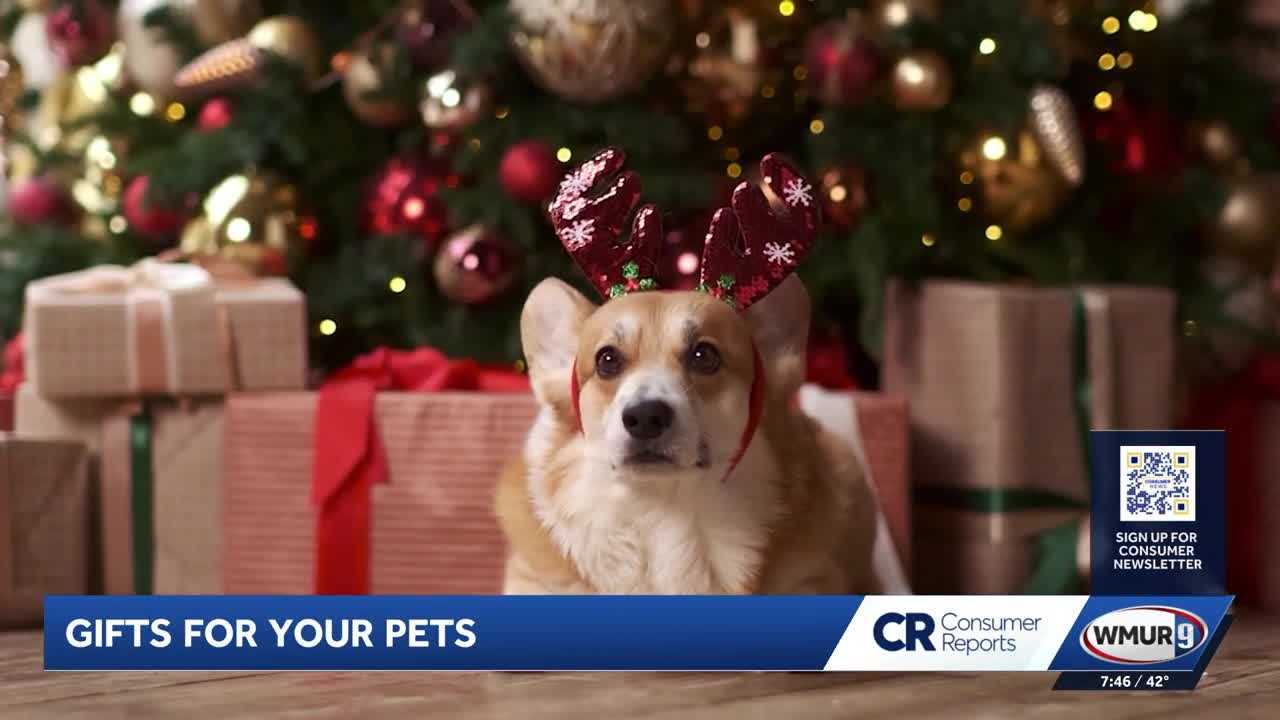 Spoil Your Pets With Consumer Reports Tested Products