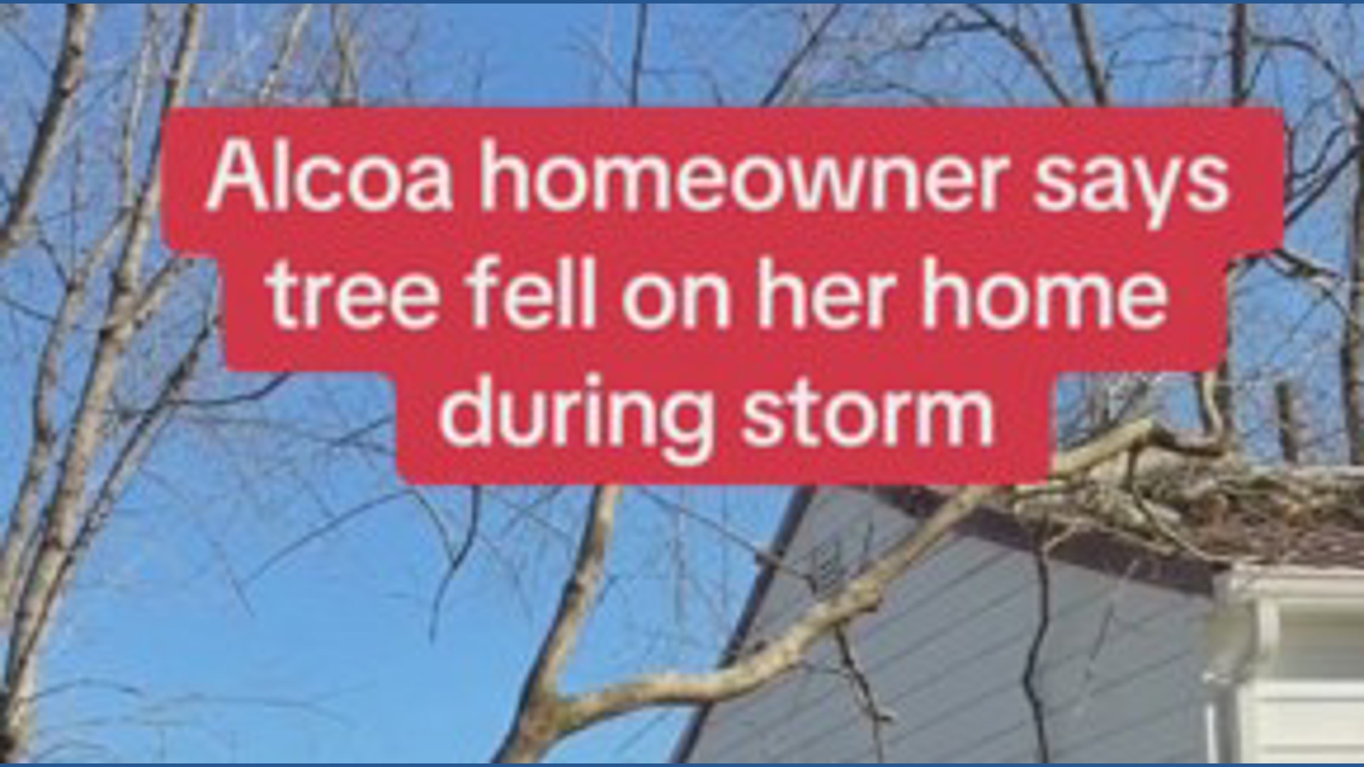 Tree falls on Alcoa home