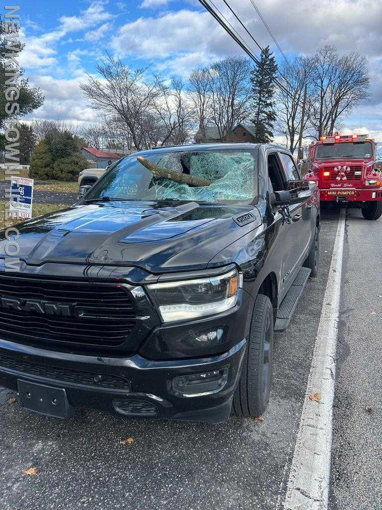 Tree limb smashes through windshield, injures driver