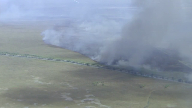 Florida agriculture commissioner urges caution as a risky fire season looms