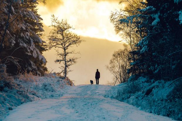 Countryside Code's Christmas tips as winter walks beckon