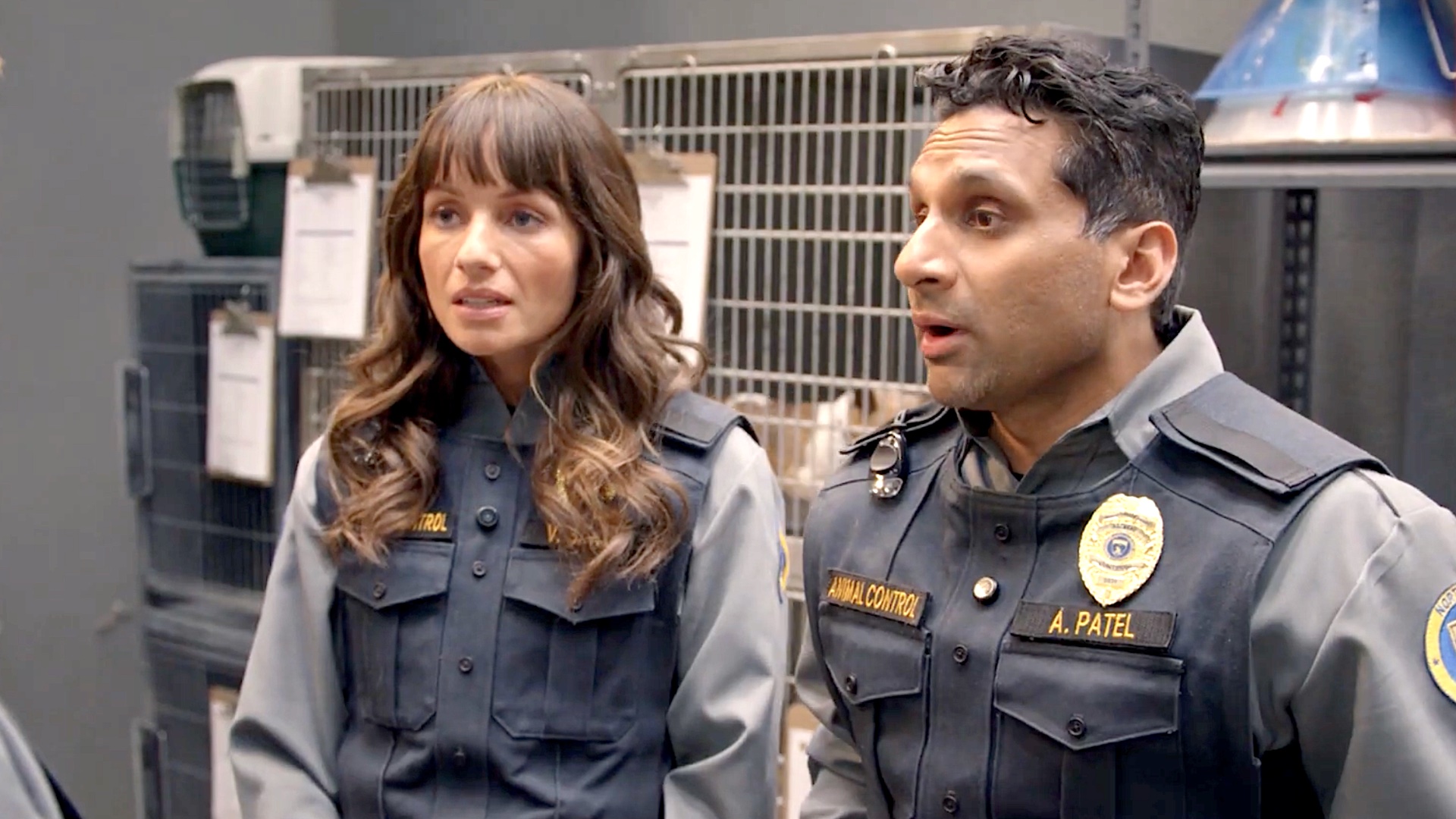 A dog shortage complicates Emily’s big plan in Animal Control