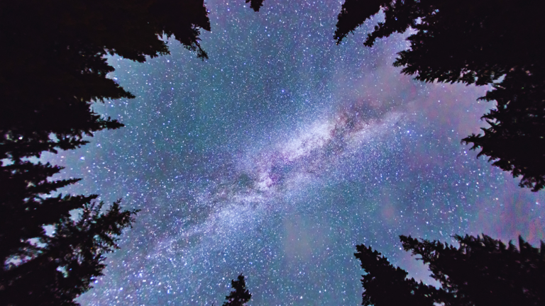 Why this remote Ladakh village is India’s best location to witness the ...