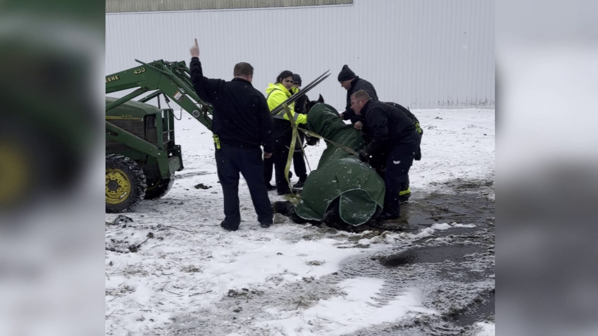 Fire department frees trapped horse from icy water at Granger stable