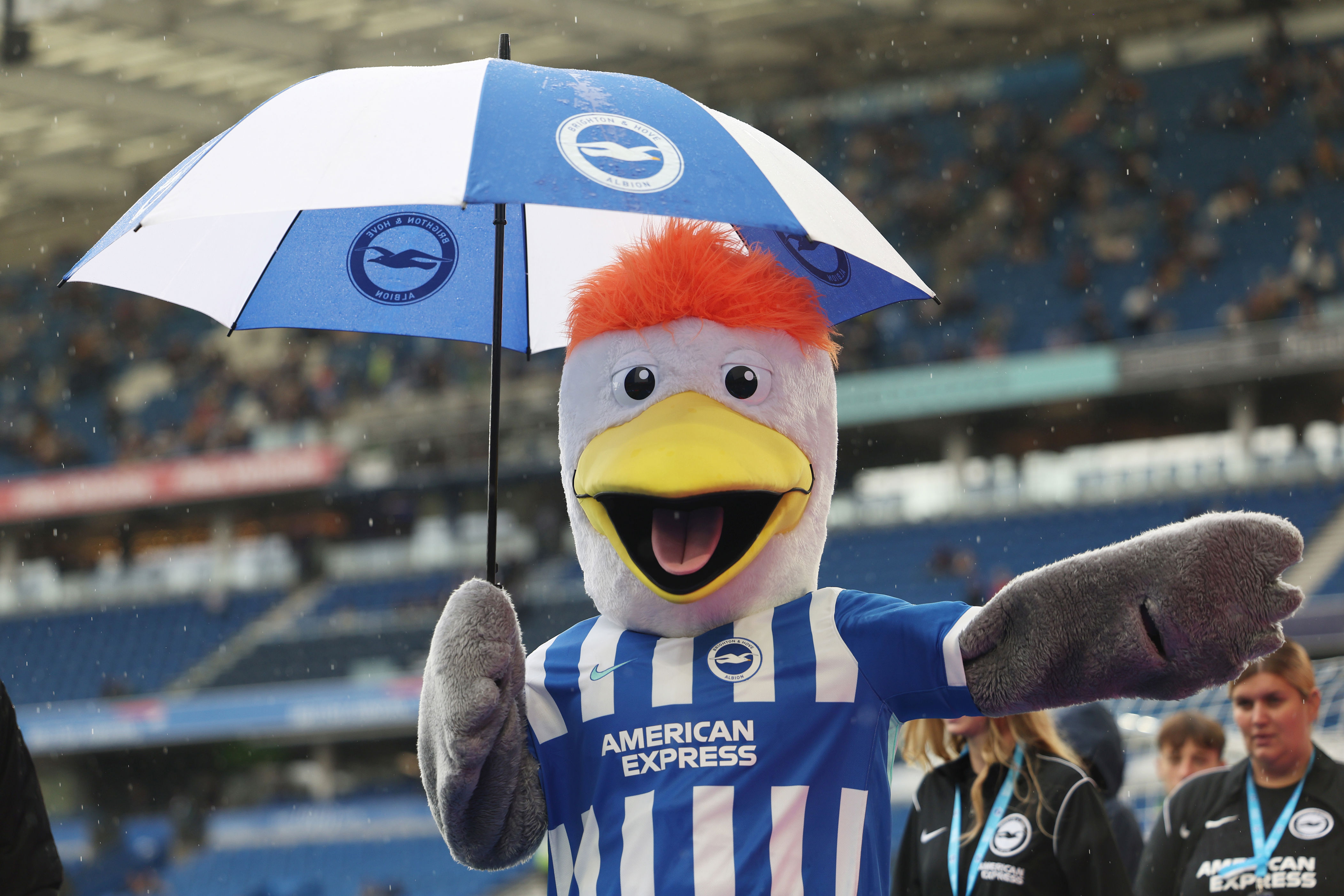 Score predictions: Sunderland away at Brighton – more points for Christmas?