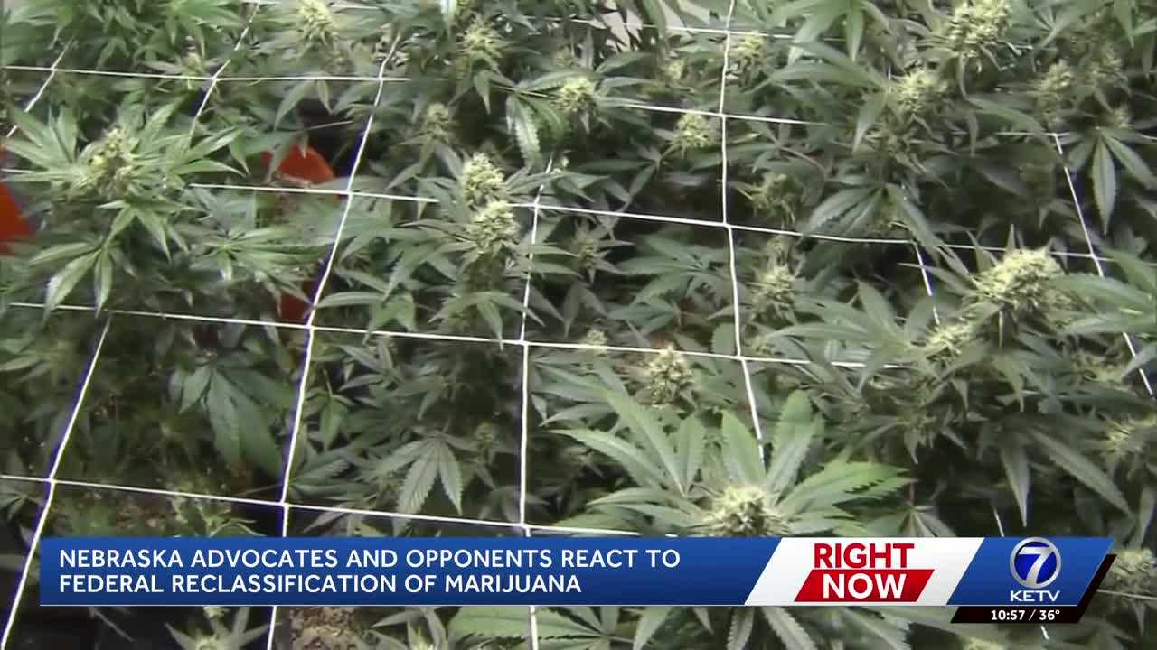 What the federal marijuana reclassification means for Nebraskans