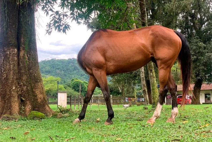 16 images so confusing they’ll make you think your eyes are lying to you