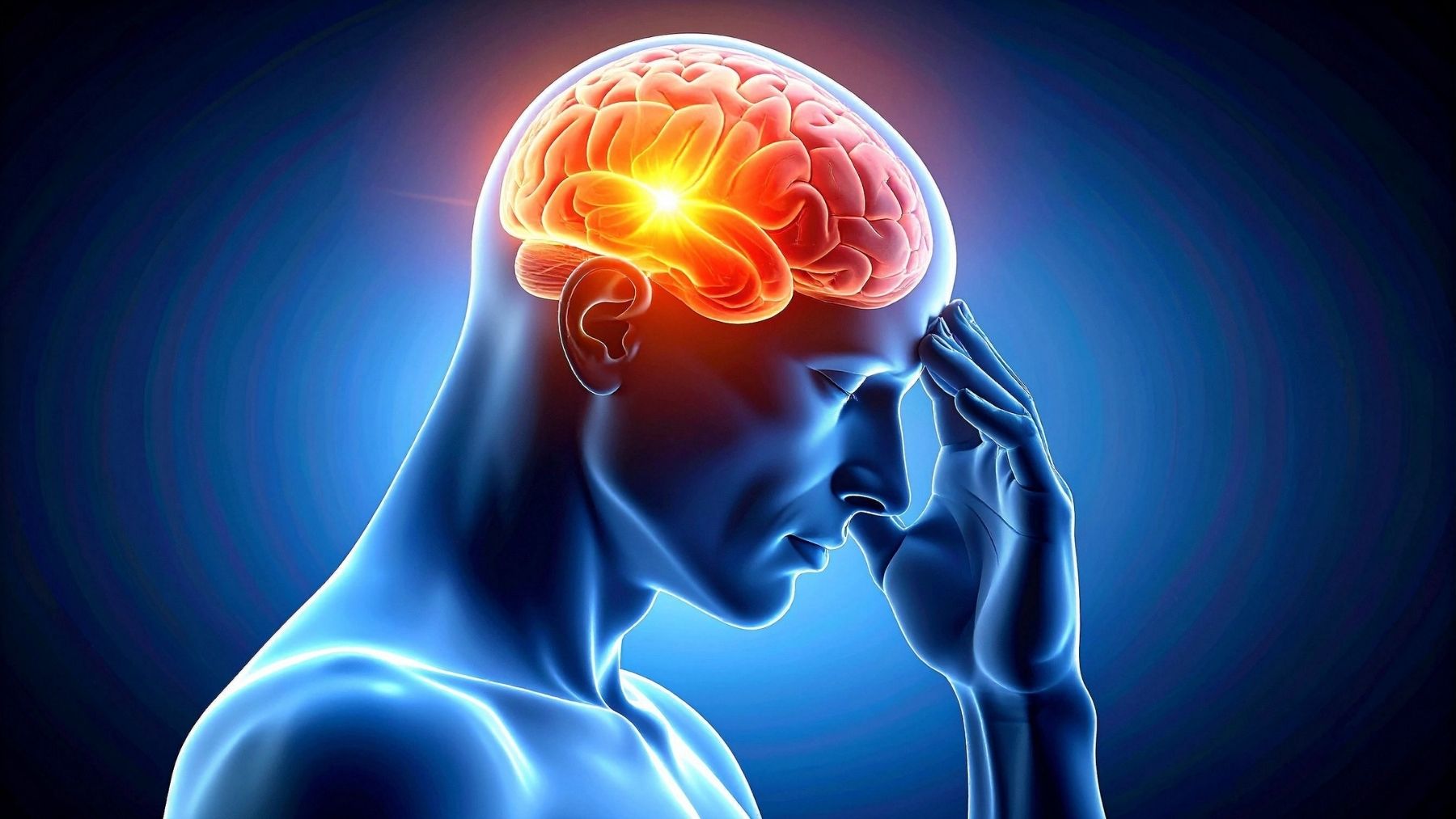 ¿Se puede entrenar el cerebro? Neuroplasticidad, edades, ejercicios y ...