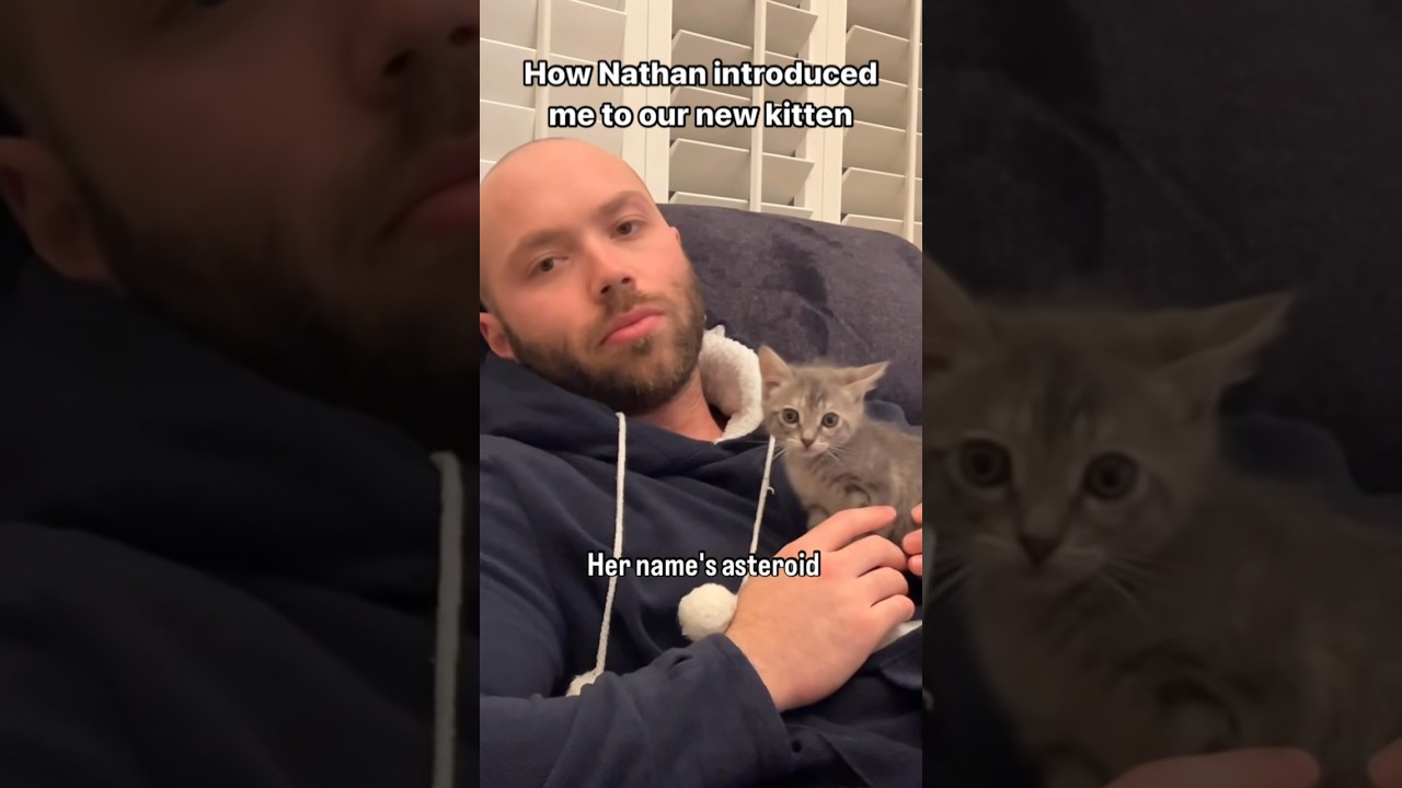 Meet the adorable tiny kitten we named Asteroid Destroyer