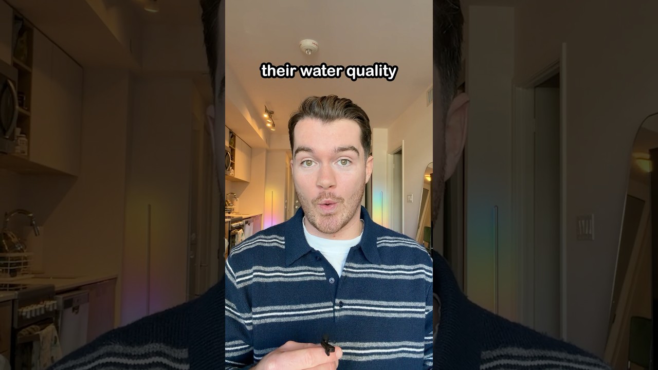 Warsaw uses mussels to monitor water pollution daily