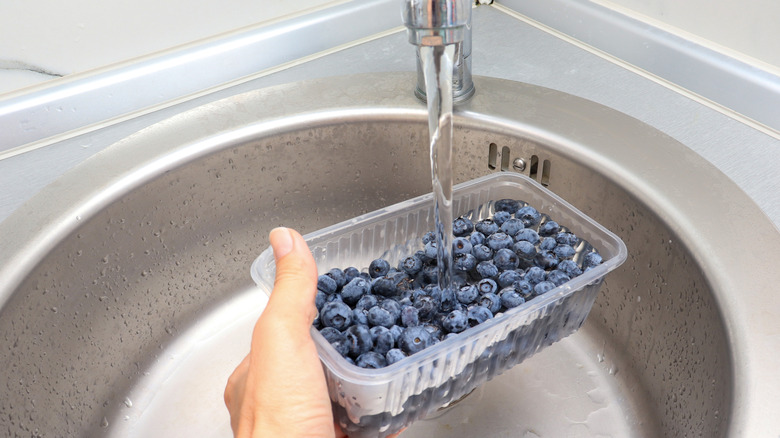 This is hands-down the best type of vinegar to clean blueberries with