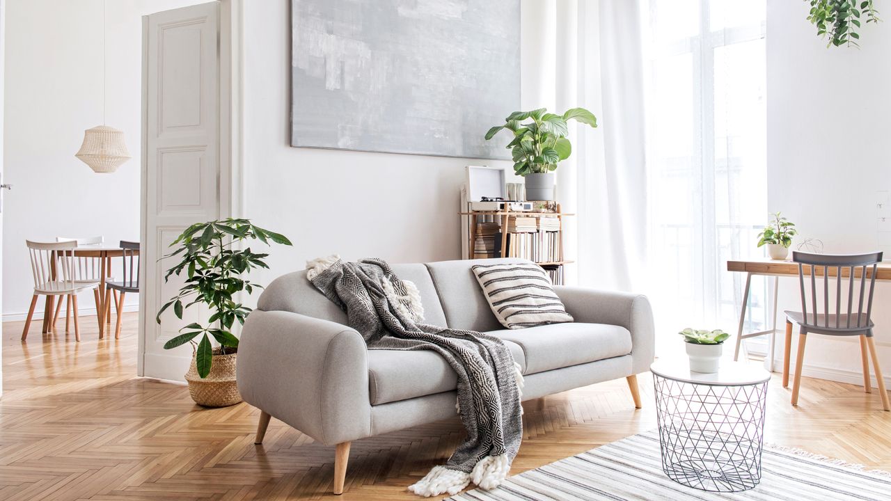 Not candles — guests always ask how my house smells amazing, and it's ...
